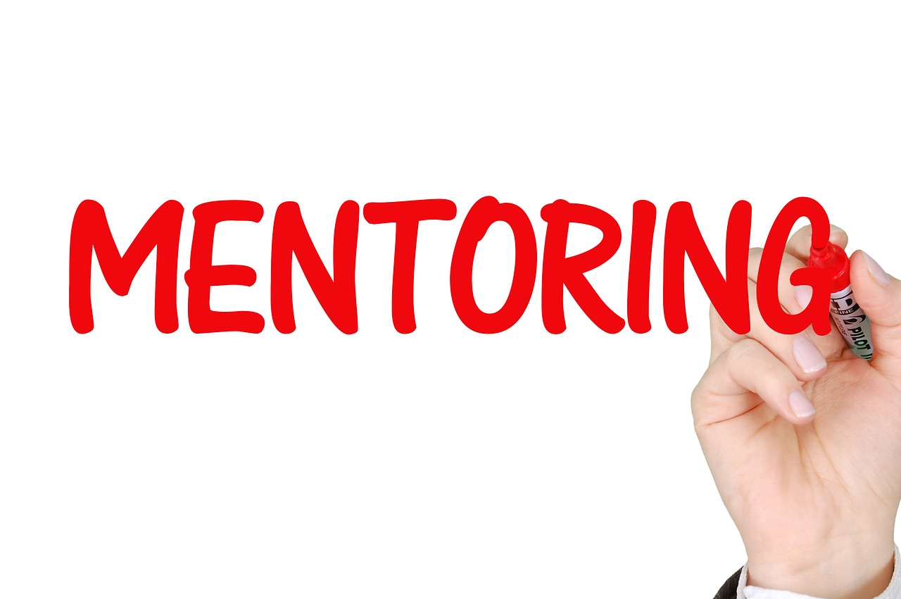 4 Questions To Ask About Mentoring In The Health Professions 4-questions-to-ask-about-mentoring-in-the-health-professions